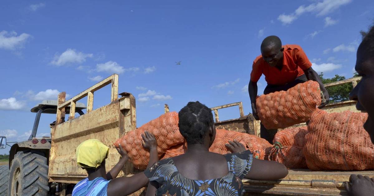 The crucial role of Micro, Small and Medium Scale Enterprises (MSME’s ...