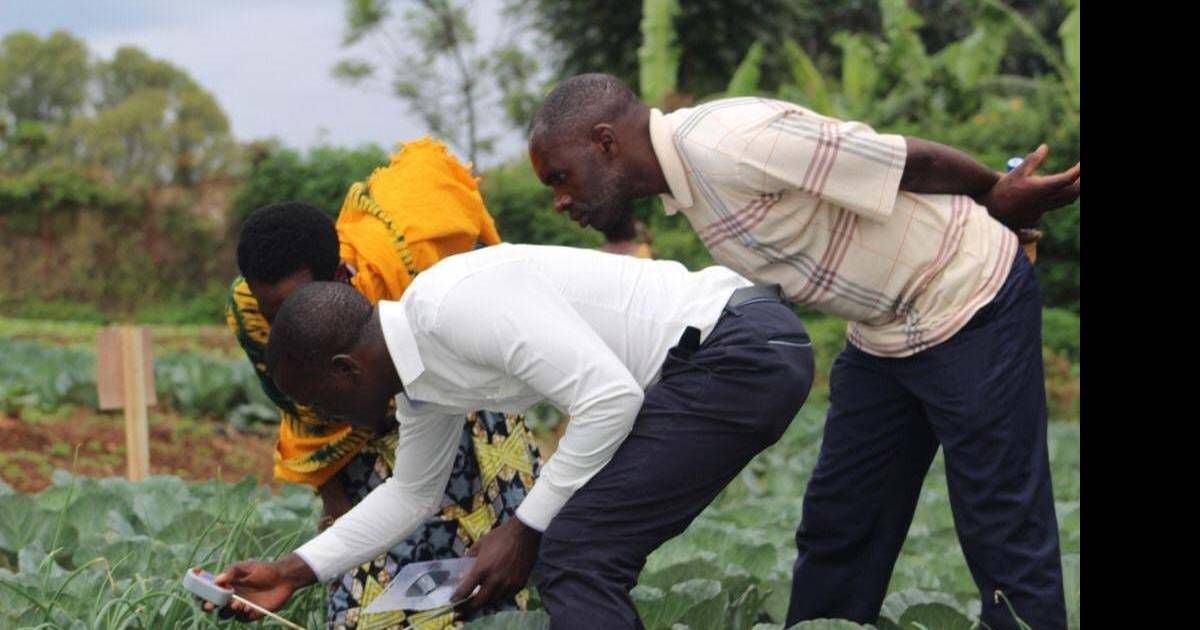 SEAD strengthens project management capacities of its partner institutions