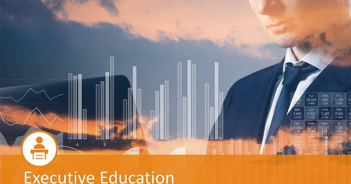 Mastering the challenge of financing development projects