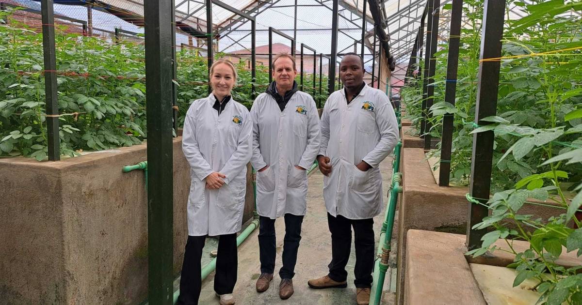 A Model for Sustainable and Innovative Potato Production in Rwanda